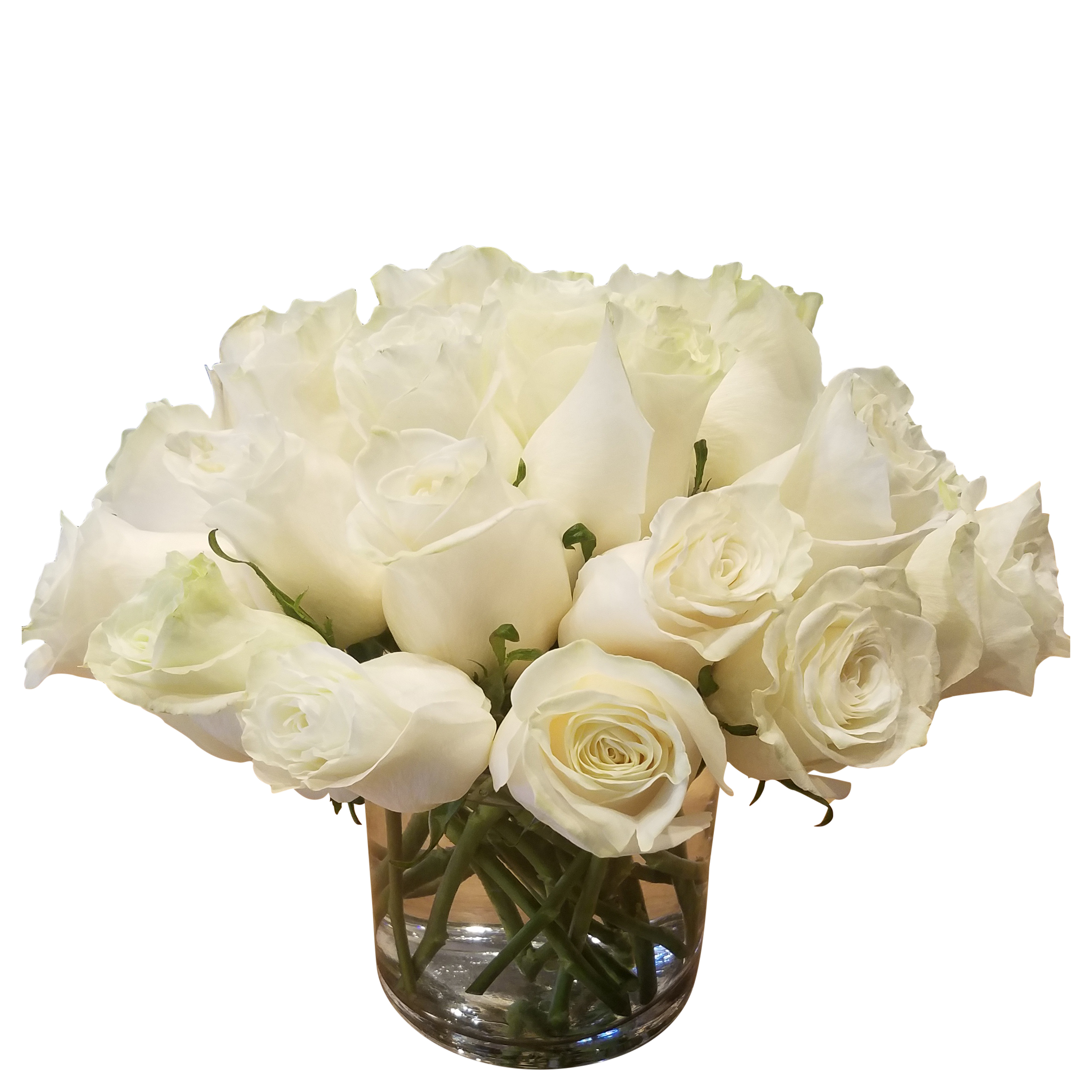 Creamy White Roses :: The Flower Shop