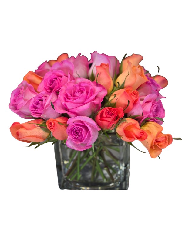 Square Roses :: The Flower Shop