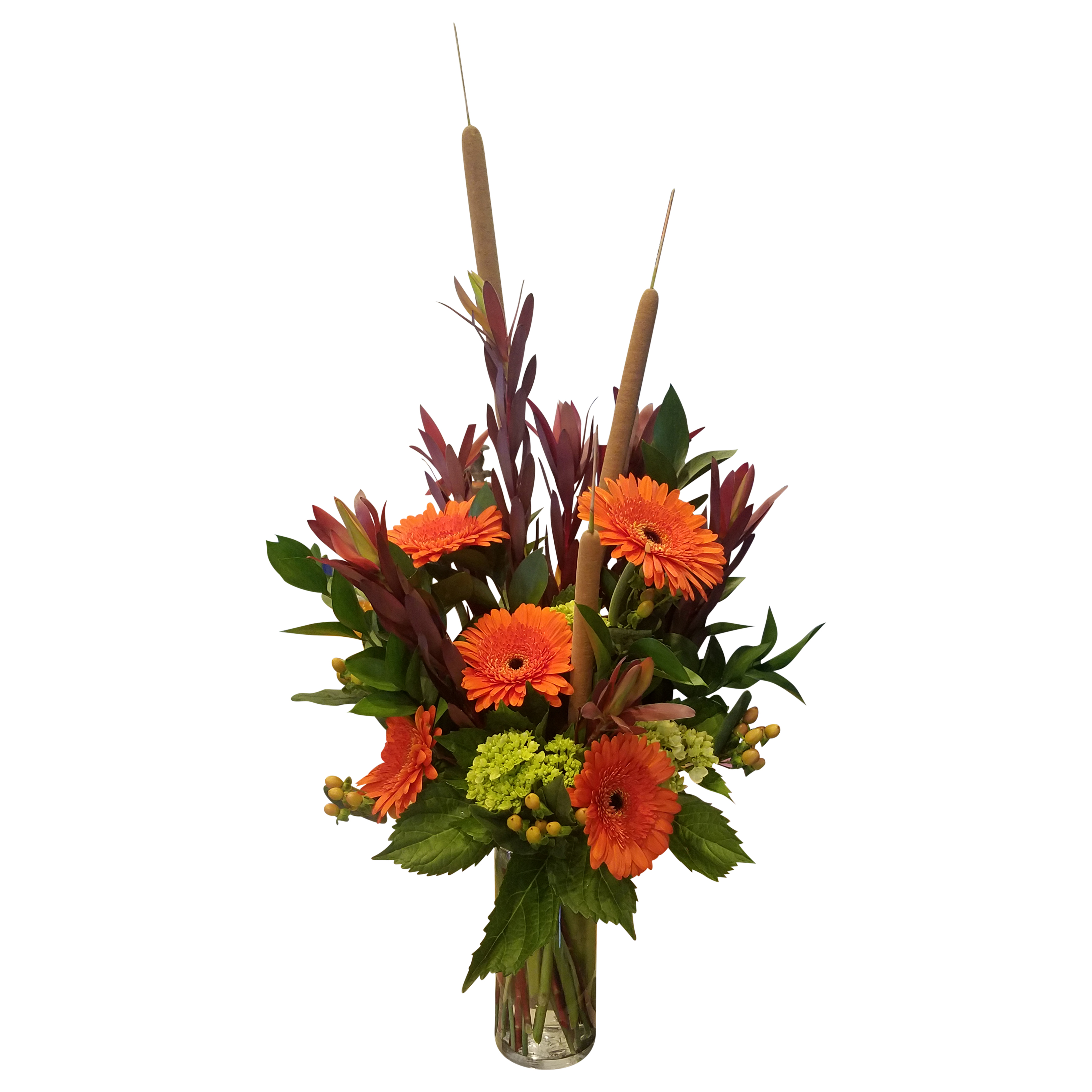 Gerberas and Cattails :: The Flower Shop