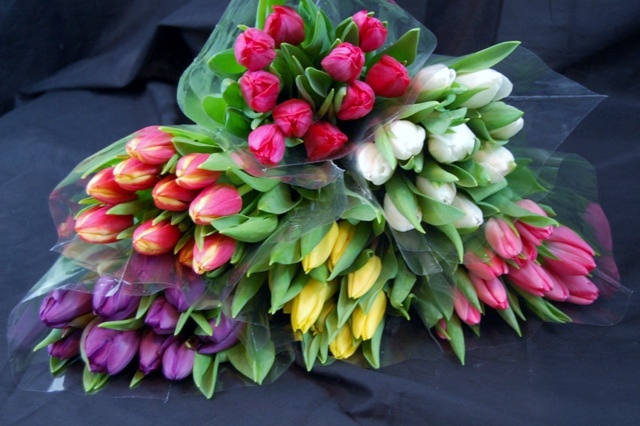 tfs-wrapped Tulips :: The Flower Shop