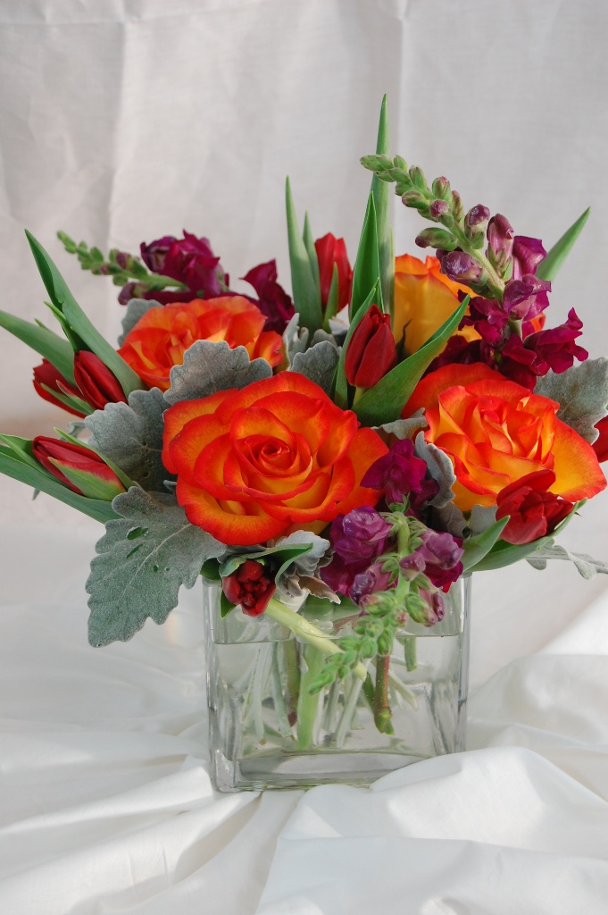 Circus Roses :: The Flower Shop